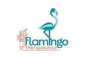 Franco-American union to explore new antisense program in cancer ...